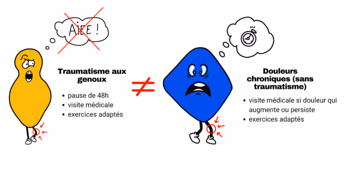 Gonalgie -Traitement pour en finir avec la douleur au genou